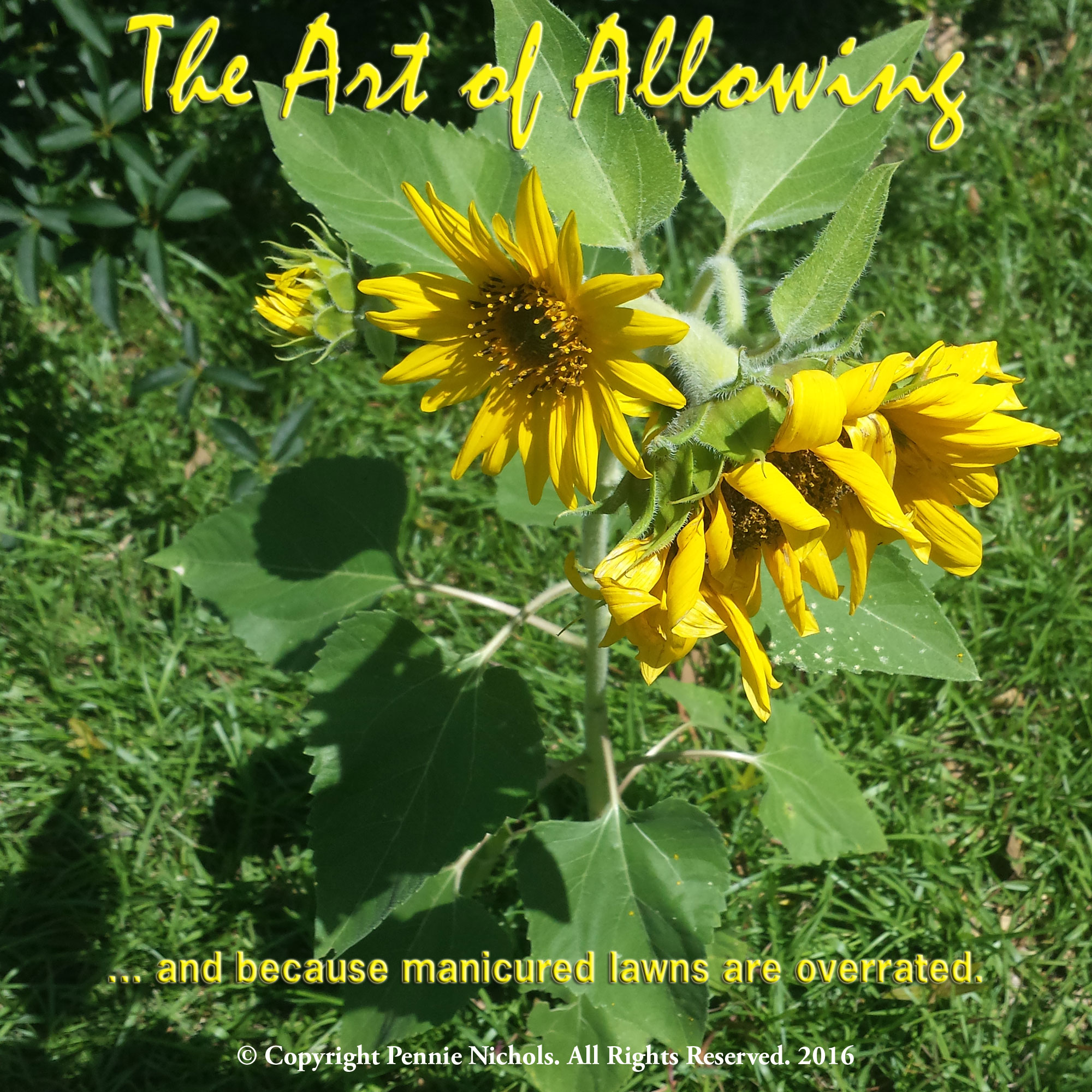The Art of Allowing - Pennie A. Nichols