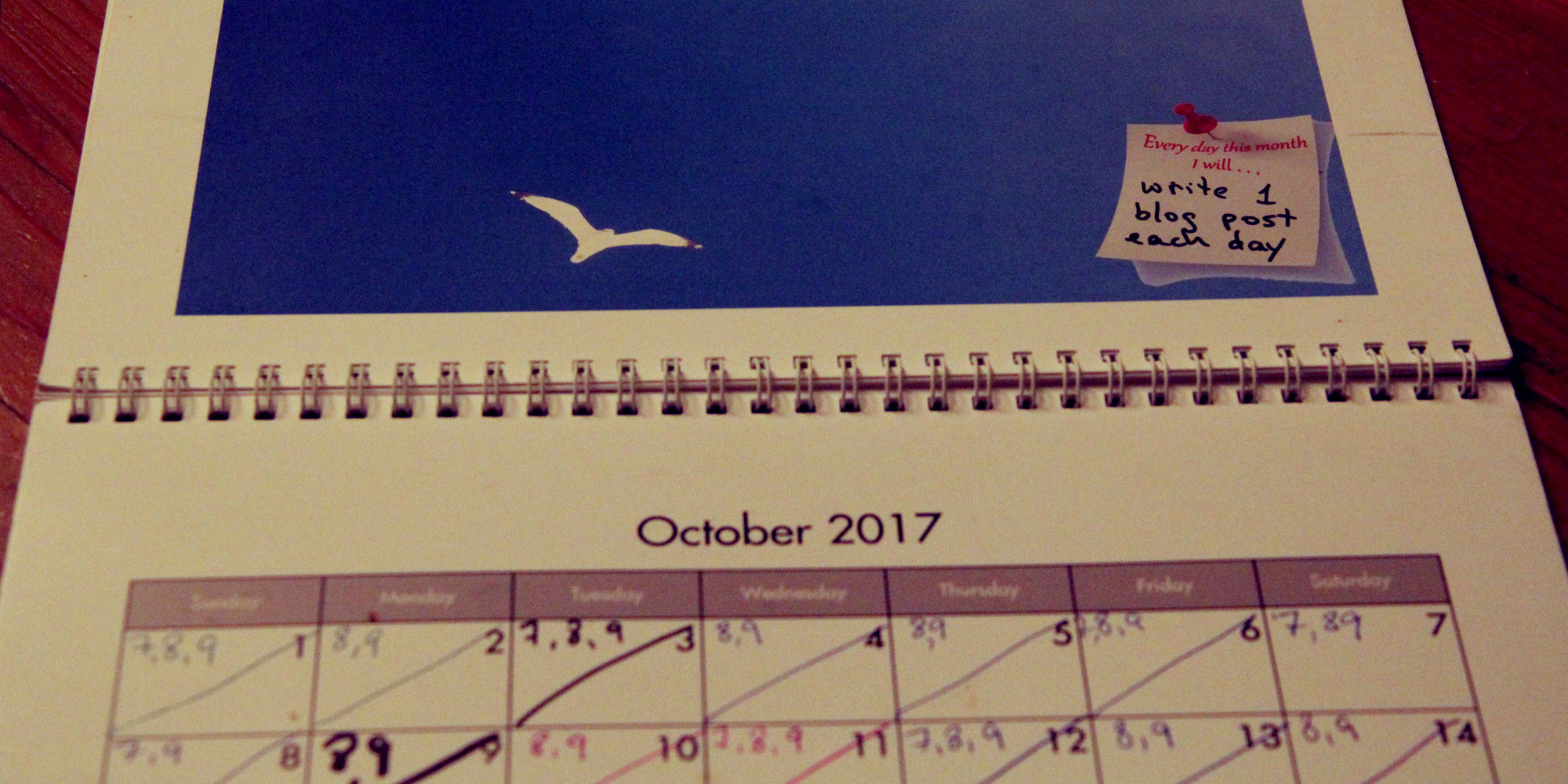 Daily Blog Challenge: Three Things I Learned - Pennie A. Nichols