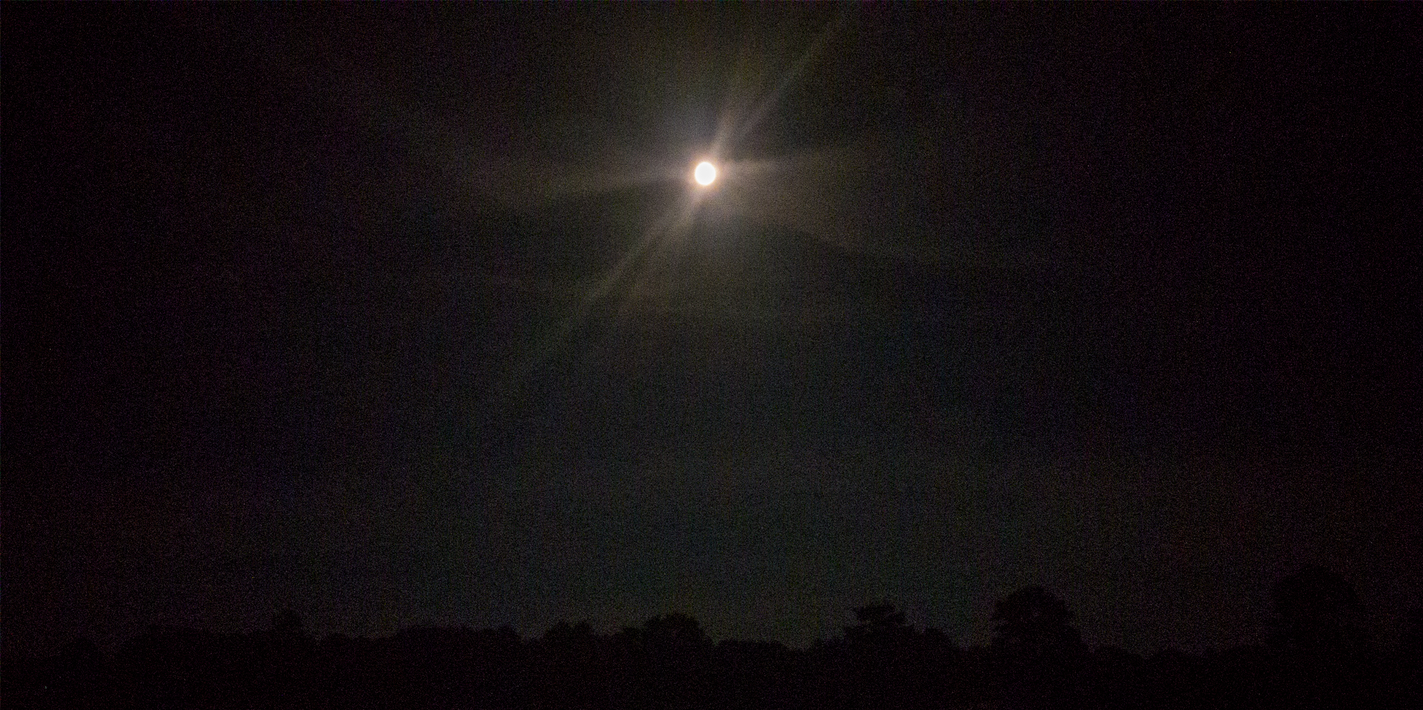 Full Moon Goals - Pennie A. Nichols