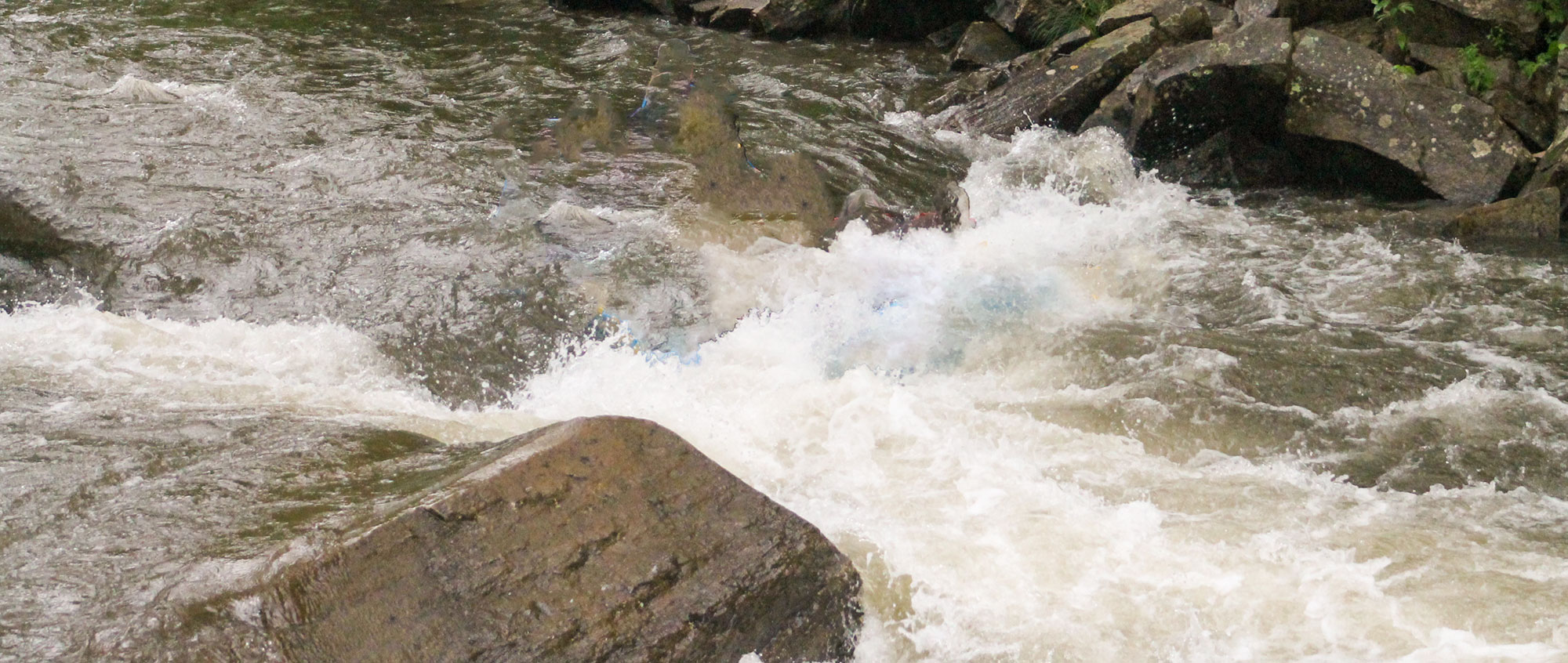 The Writing River: One Writer's Journey - Pennie A. Nichols