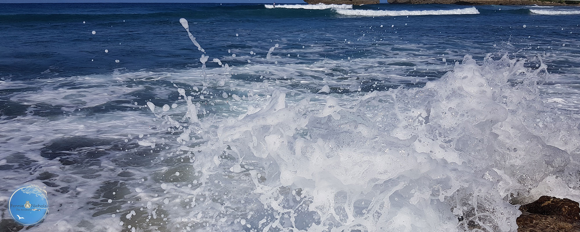 #WEP Challenge: The Great Wave Metaphor - Pennie A. Nichols